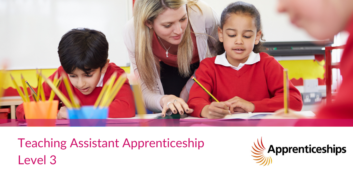 Apprenticeships | Best Practice Network
